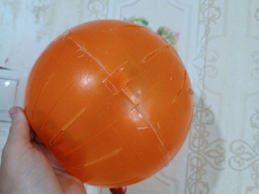 Прогулочное колесо для хомяка