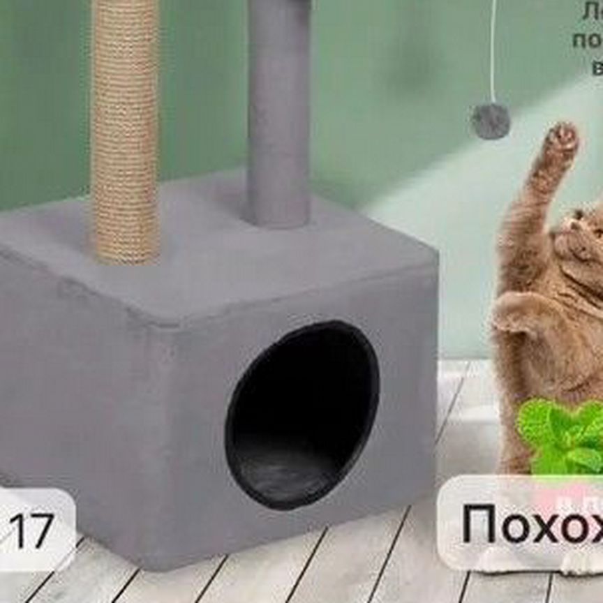 Когтеточка