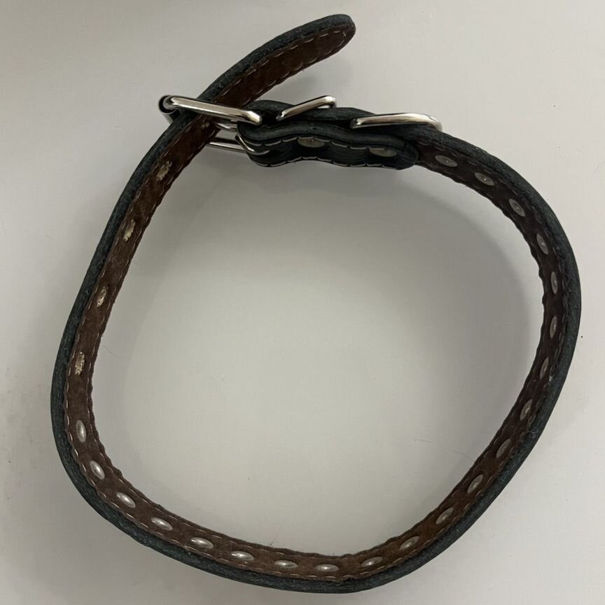 Ошейник для собак и поводок