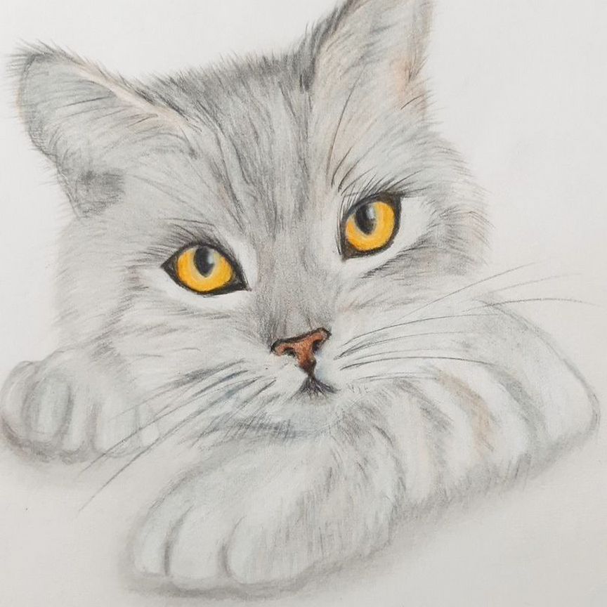 Рисую ваших питомцев