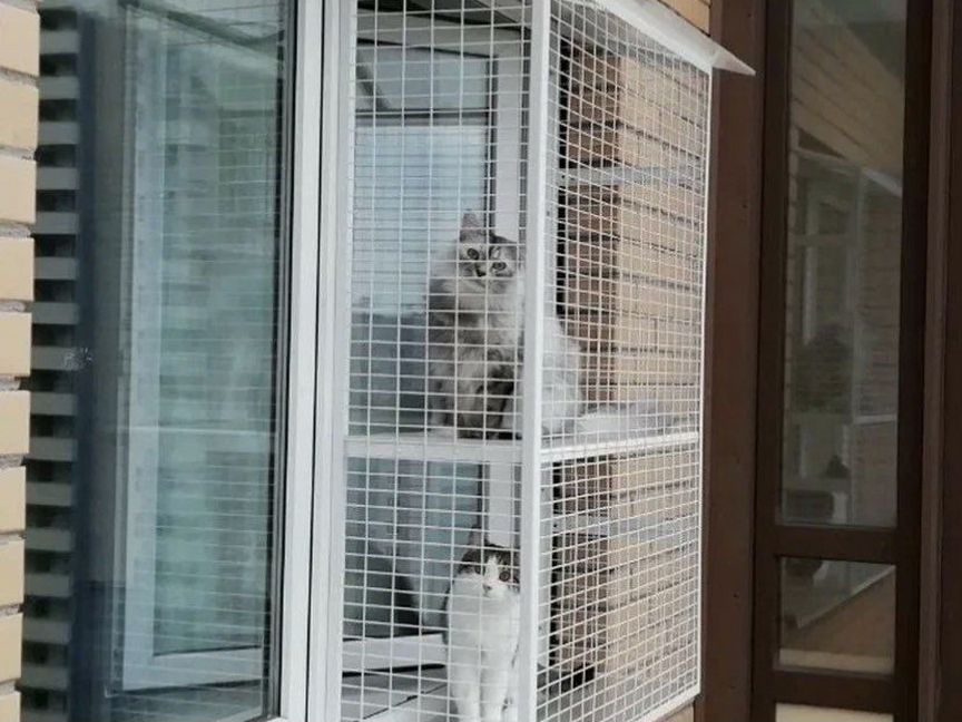 Балкон для котов,сетка для окон