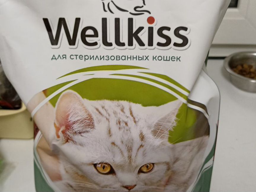 Кошачий сухой корм