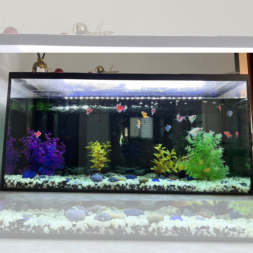 Аквариум с рыбками