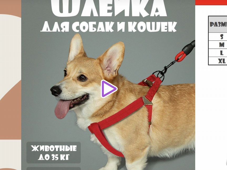 Шлейка для собаки или кошки