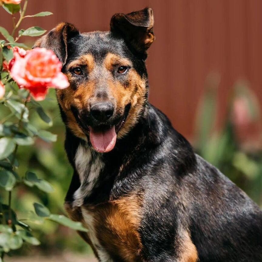 Тай ждет семью