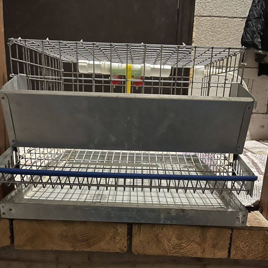 Клетка для перепелов на 10 голов