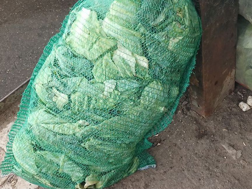 Продам листья капуста