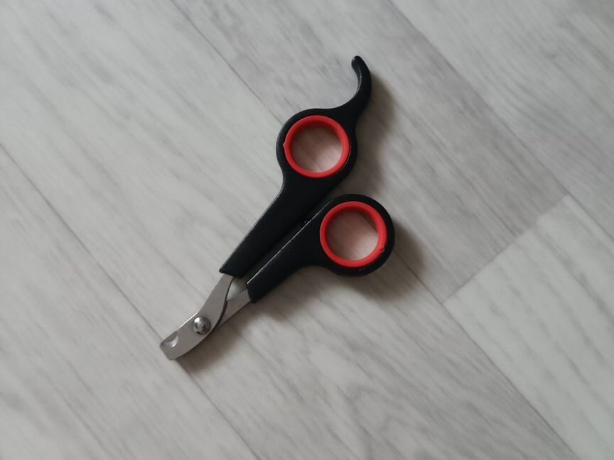 Ножницы для собак, поводок, сапожки