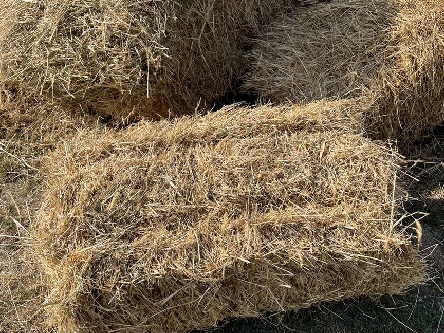 Солома из проса