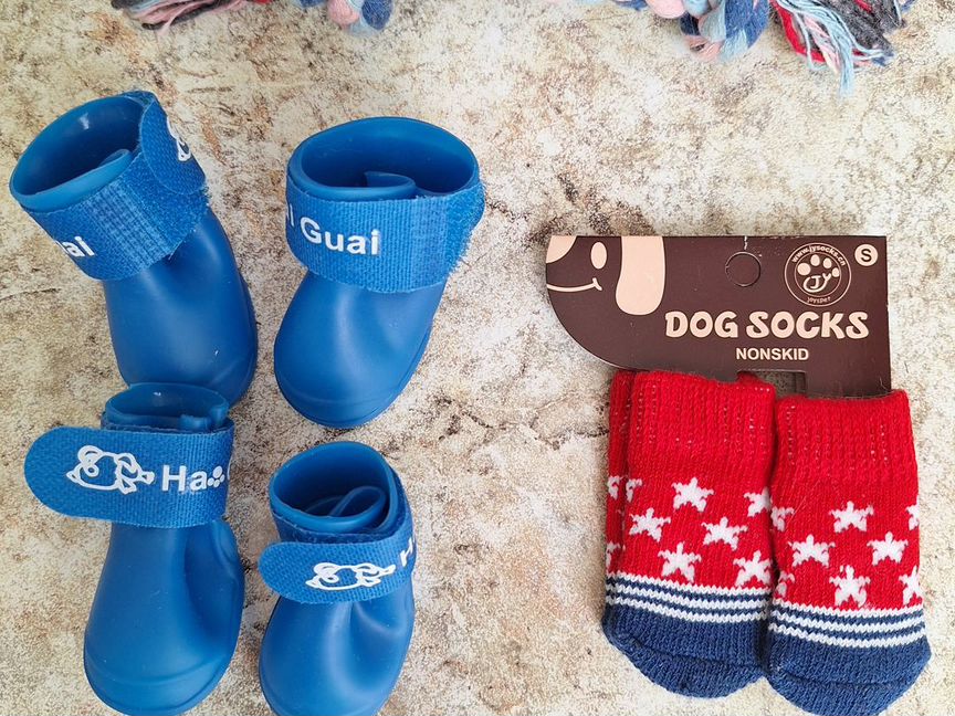 Одежда для маленьких собак