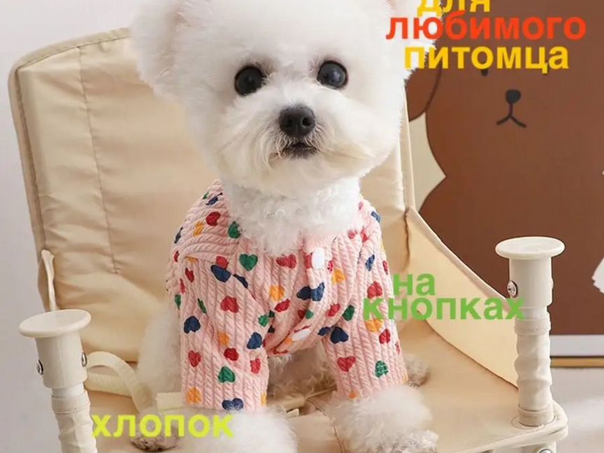 Одежда для маленьких собак