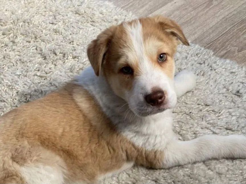 Неизвестно