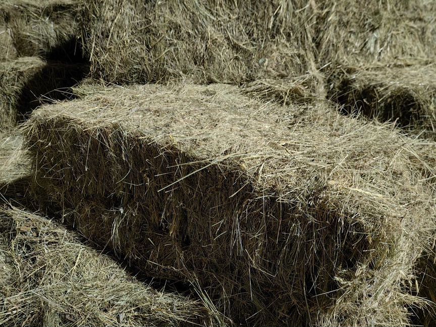 Сено луговое в тюках