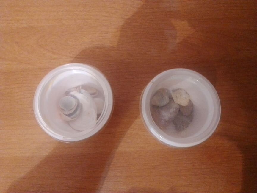 Камушки и ракушки