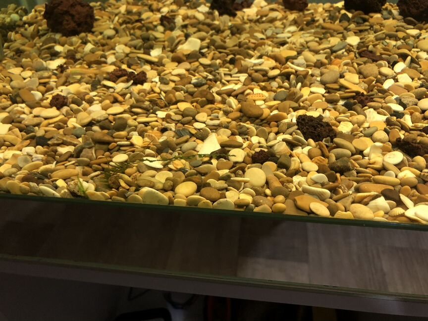 Морская галька для аквариума