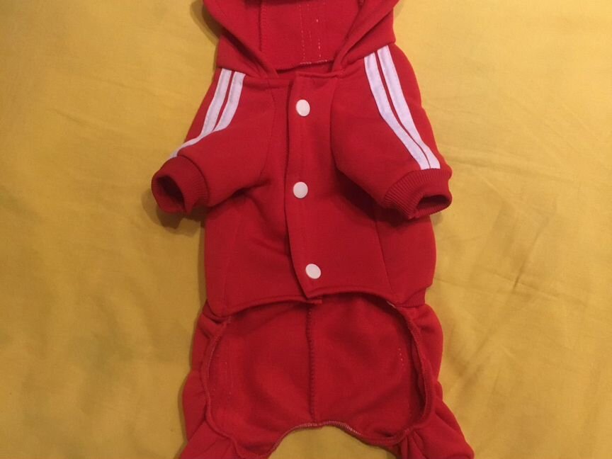 Одежда для собак и кошек