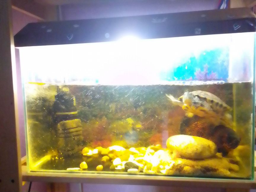 Украшение для аквариума