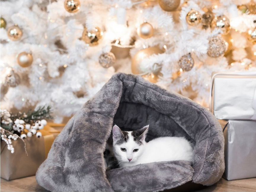 Домик конура доя животных