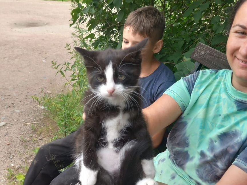 Чернобелый котенок мальчик в добрые руки