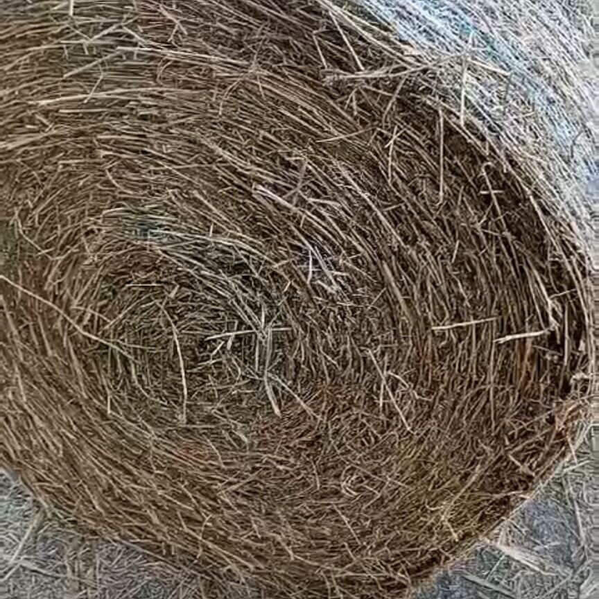 Сено люцерны в рулонах