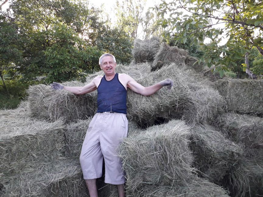 Сено луговое