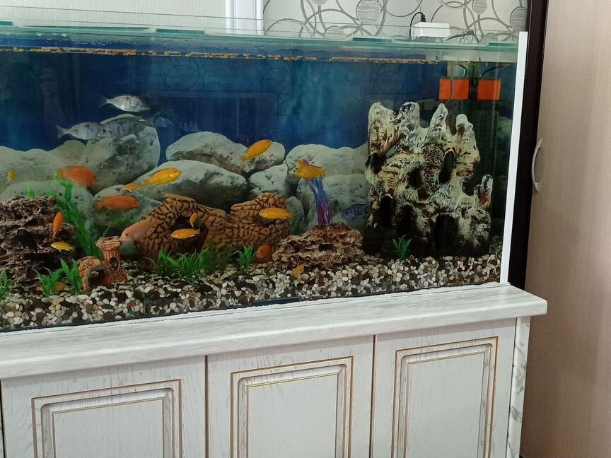 Аквариум с тумбой 340 литров