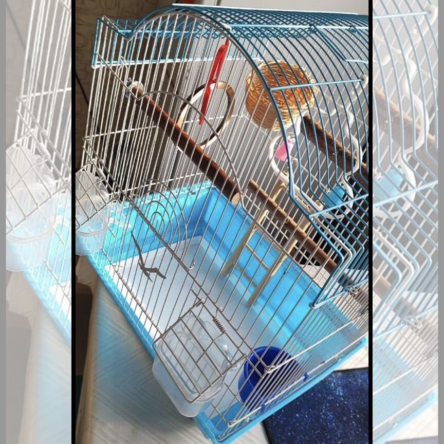 Клетка для попугая
