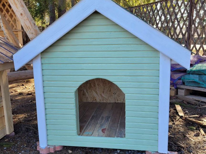 Собачья будка