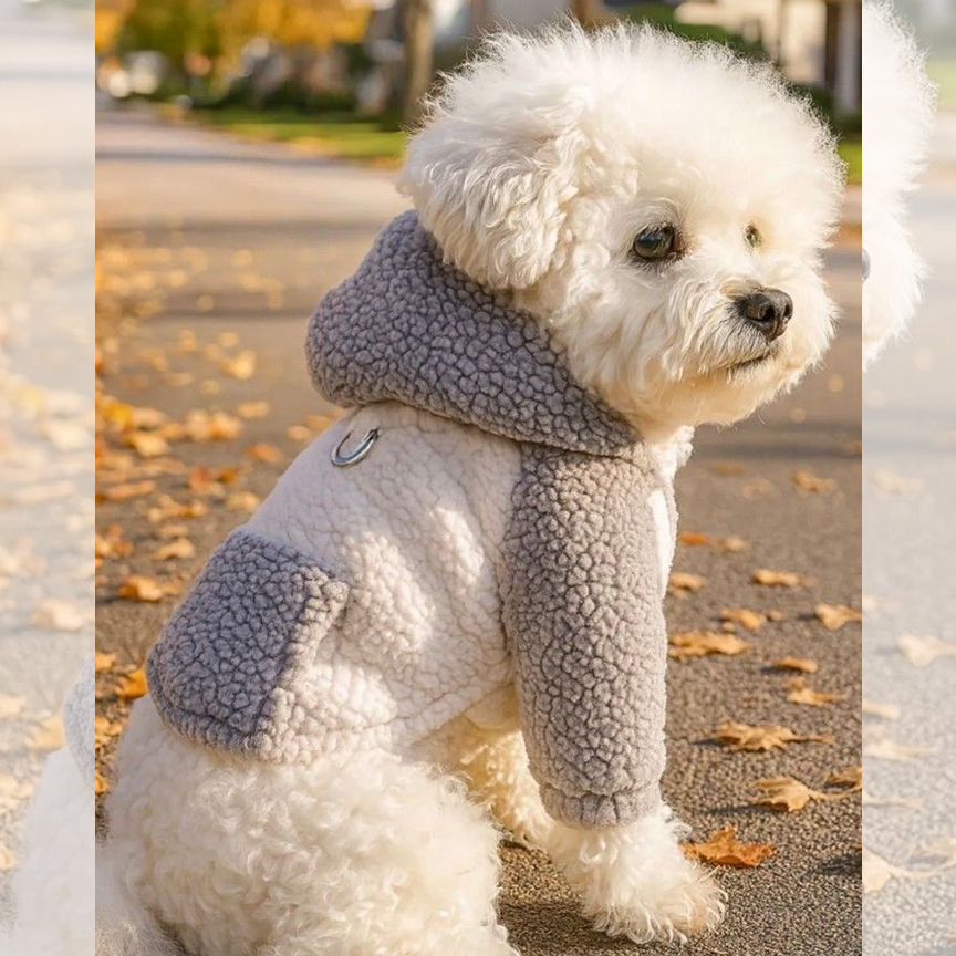 Костюм для собаки