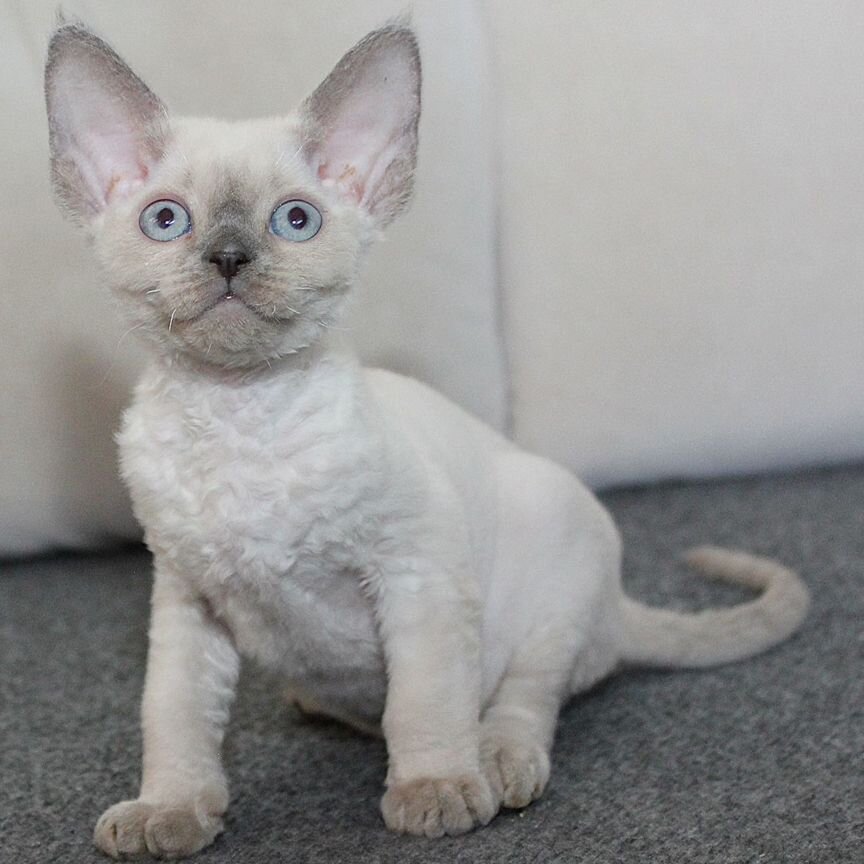 Одна на миллион