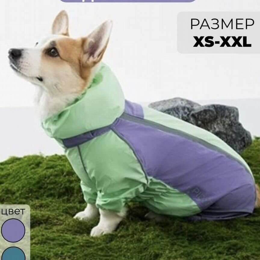 Дождевик для собаки Новый