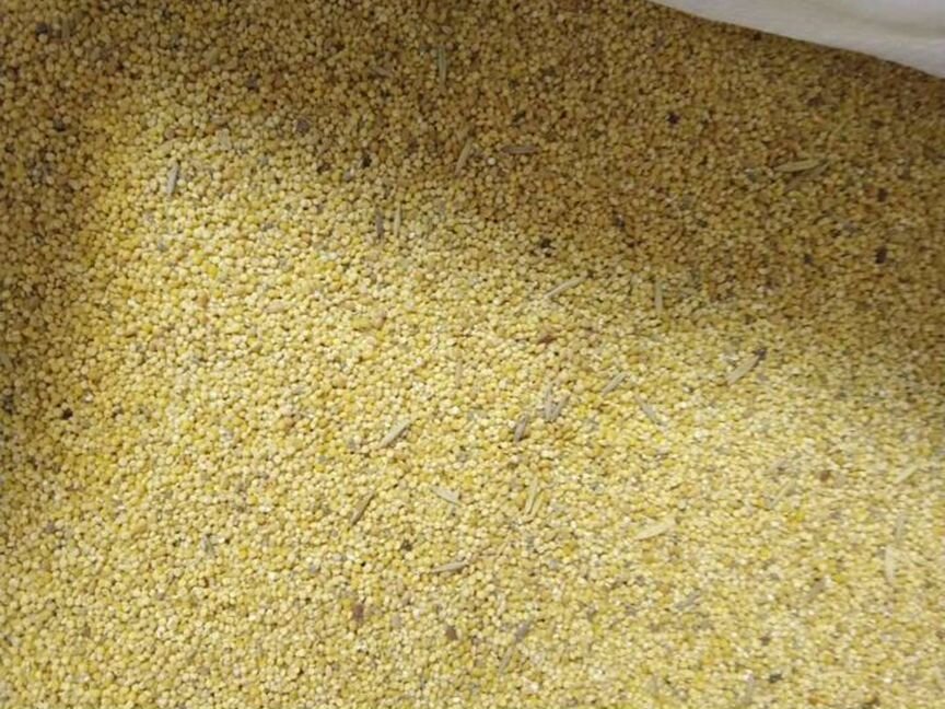 Пшено для животных