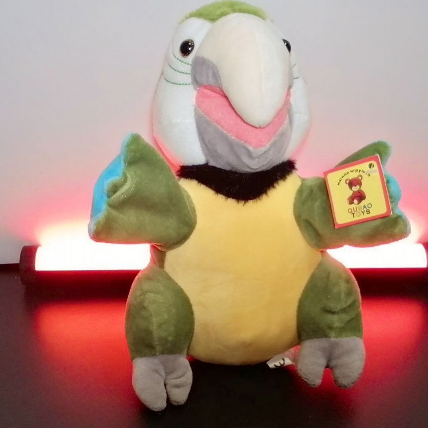 Попугай кеша из видео