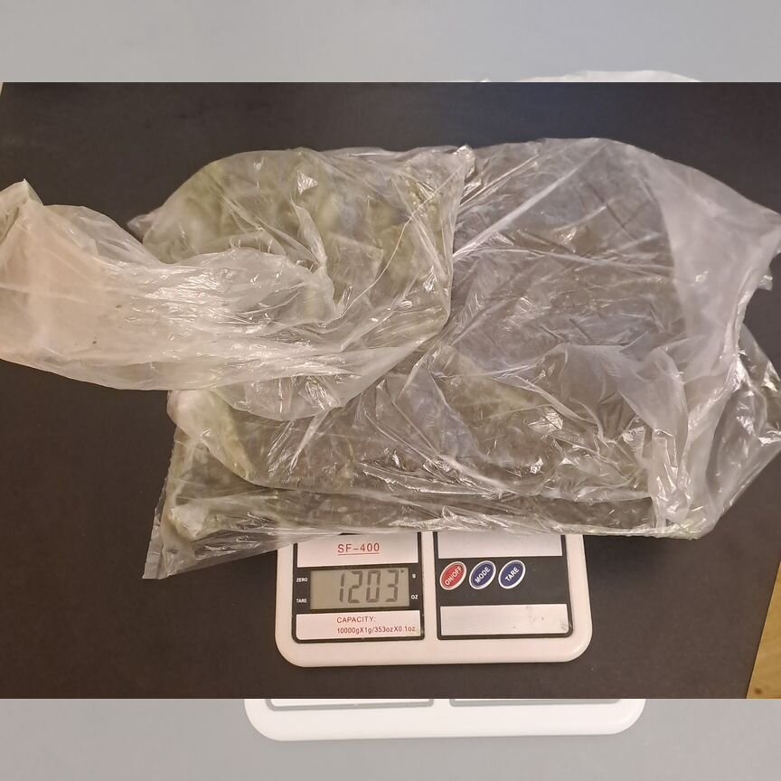 Фарш для рыб, дискусов