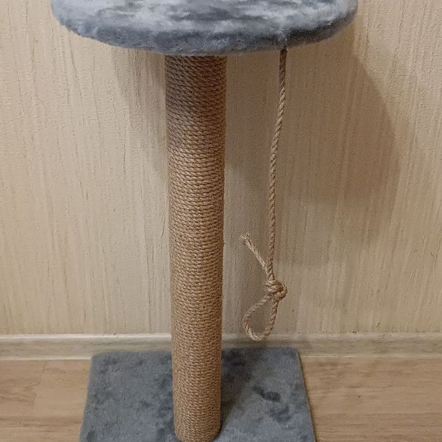 Когтеточка