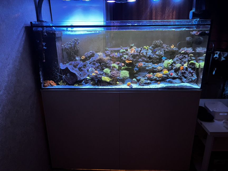 Морской аквариум 150х50х60h