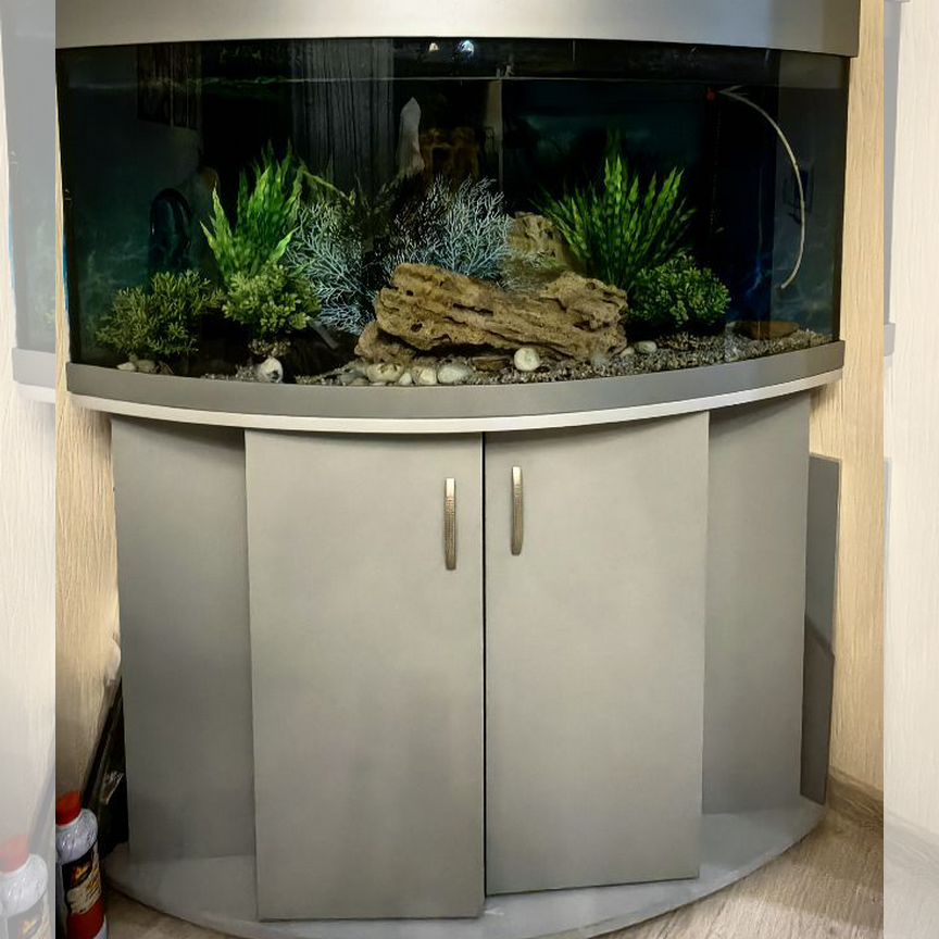 Угловой панорамный аквариум с тумбой на 350 литров