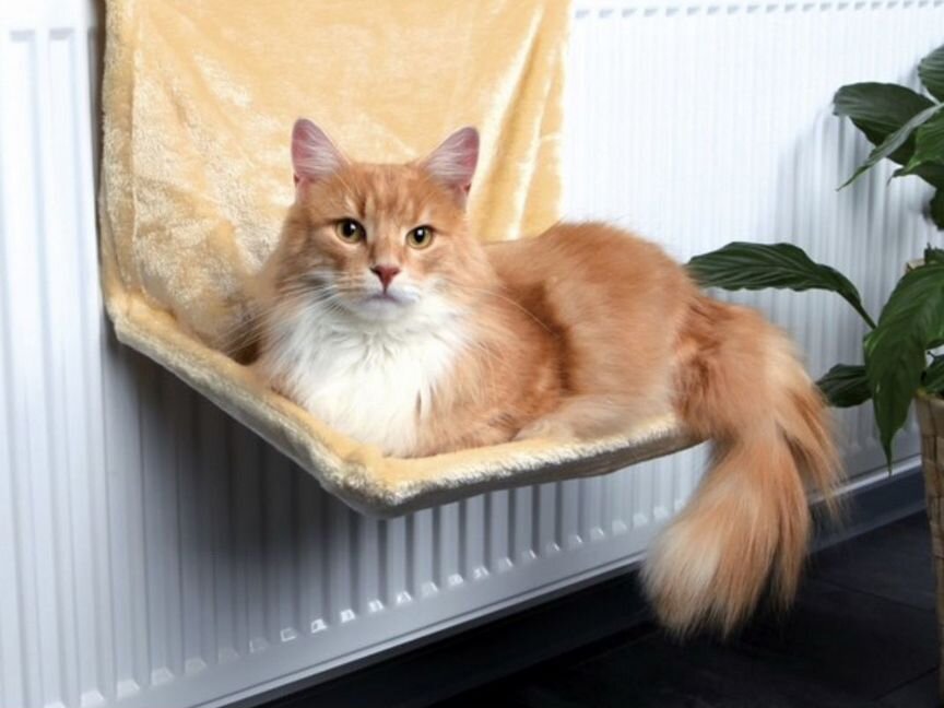 Лежак на батарею для кошек