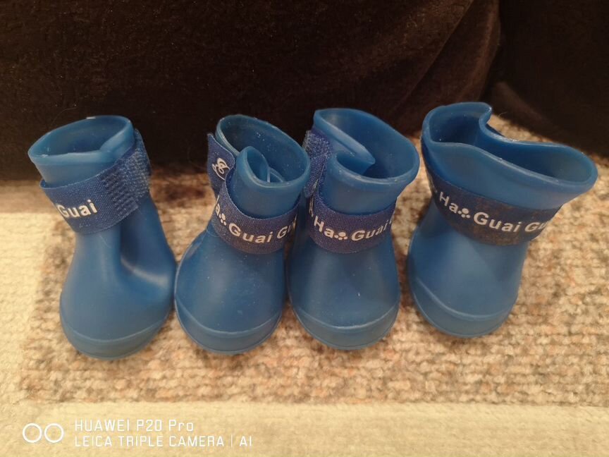 Резиновые сапоги для собаки