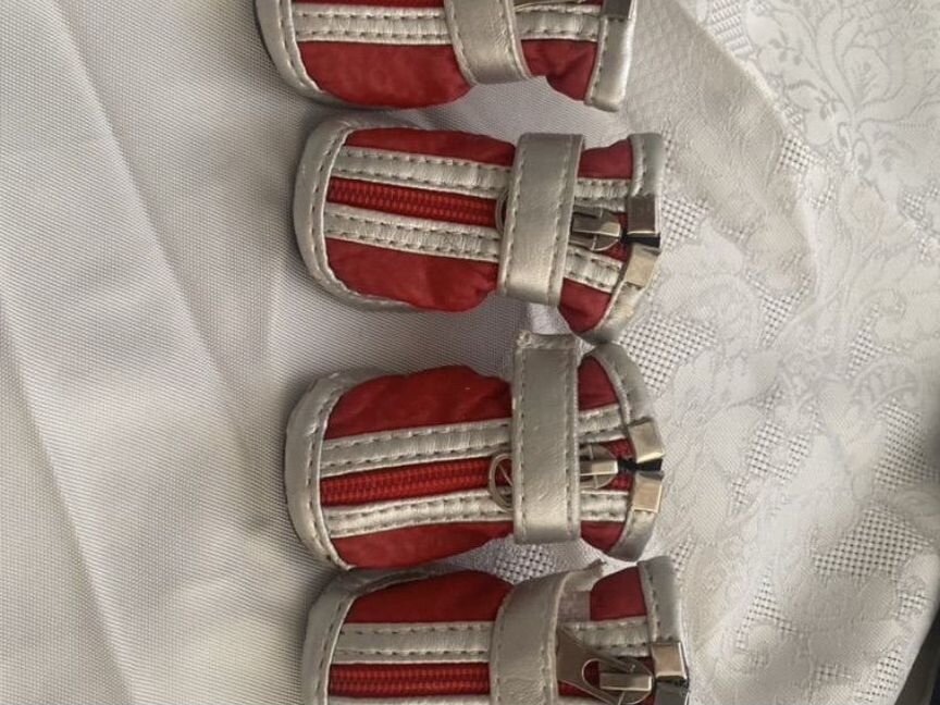 Обувь для маленьких собачек