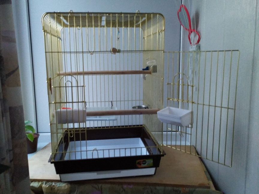 Клетка для крупного попугая