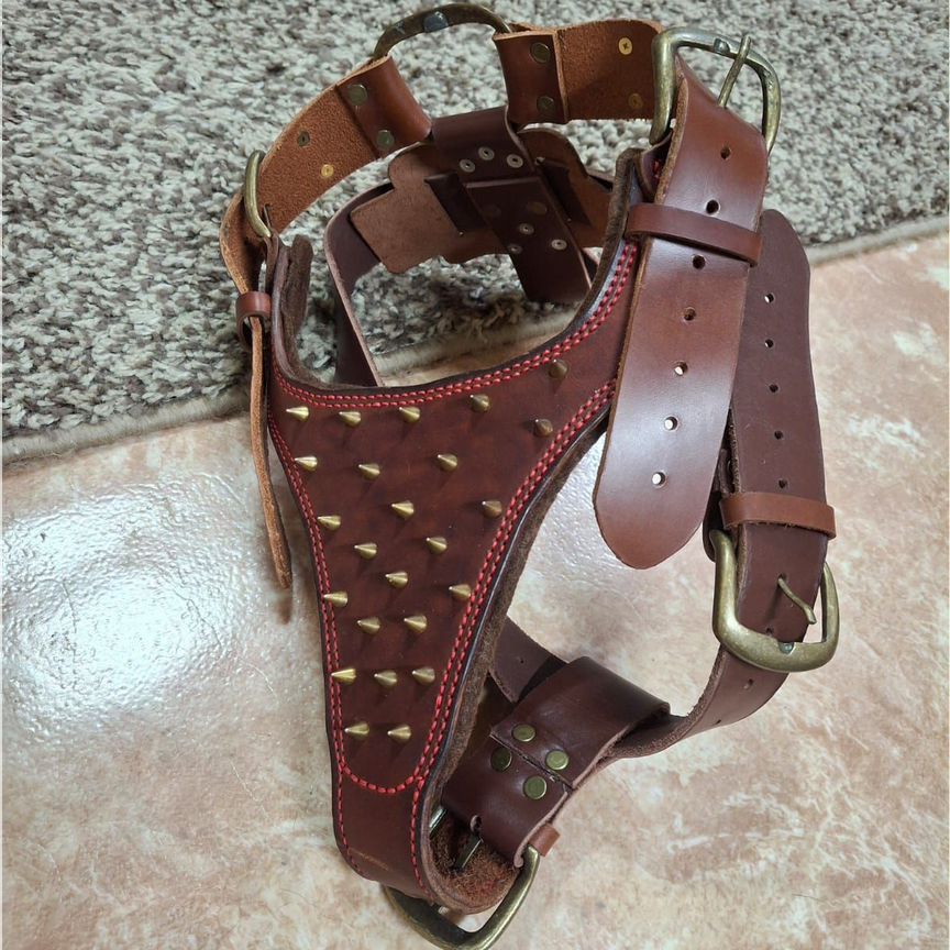 Шлейка для большой собаки