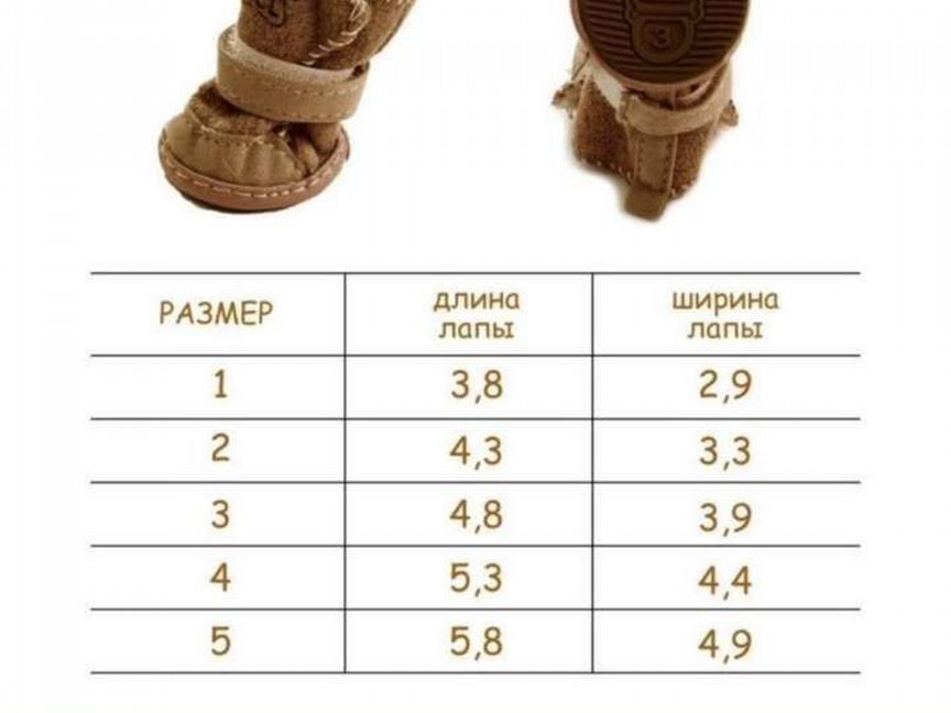 Обувь для маленьких собак