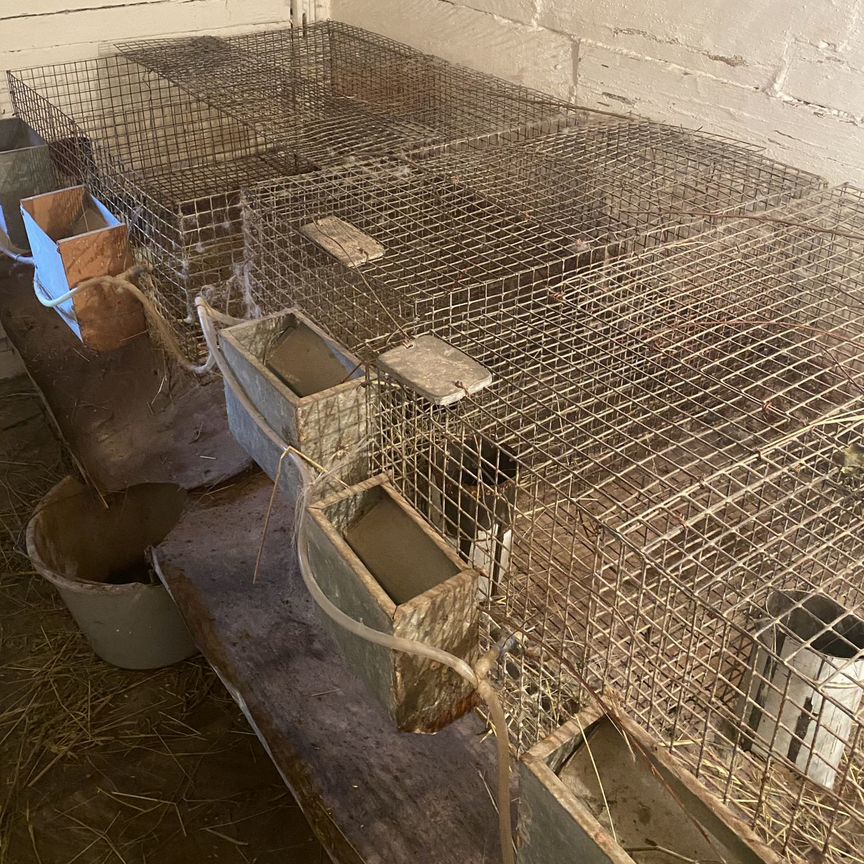 Клетка для кролика