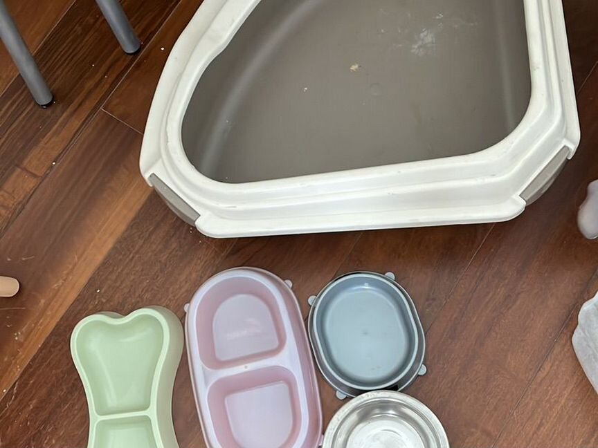 Отдам бесплатно аксесуары для животных