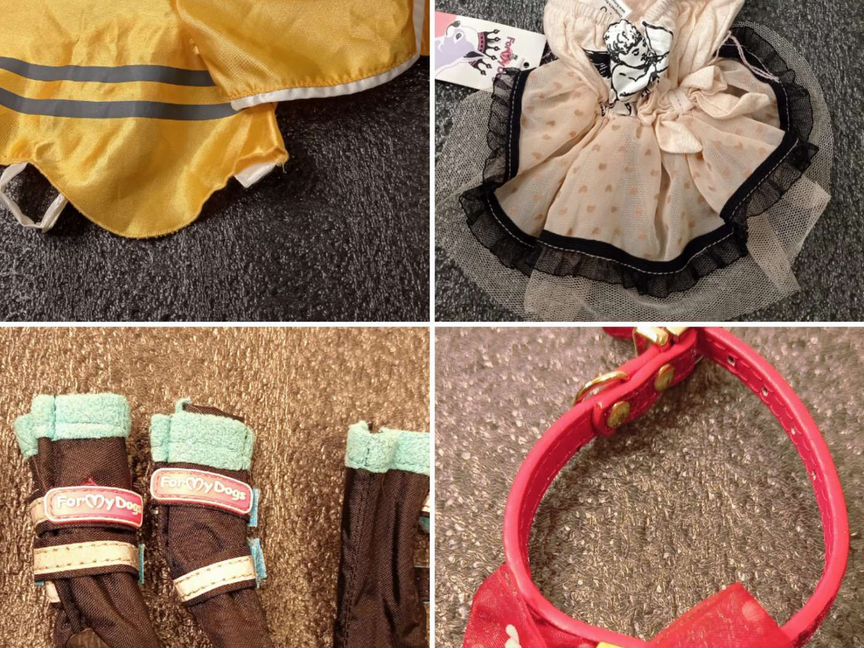 Одежда и обувь для маленьких собак