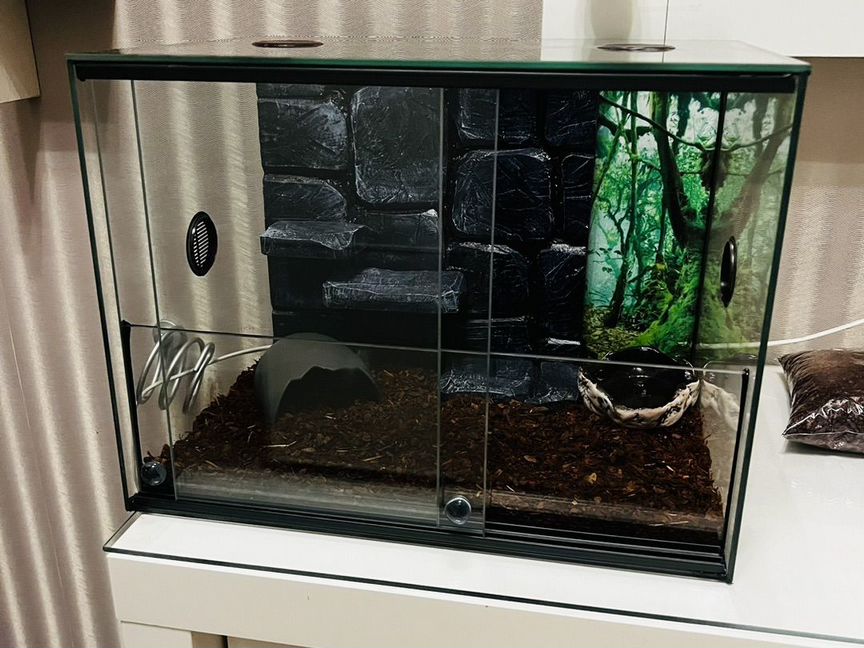 Террариум для рептилий