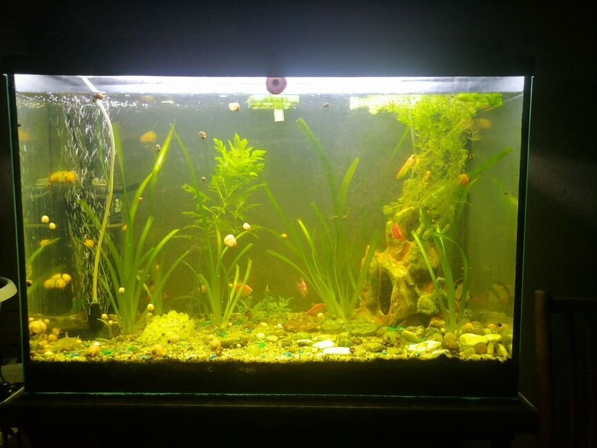 Аквариум на 150 литров со столиком