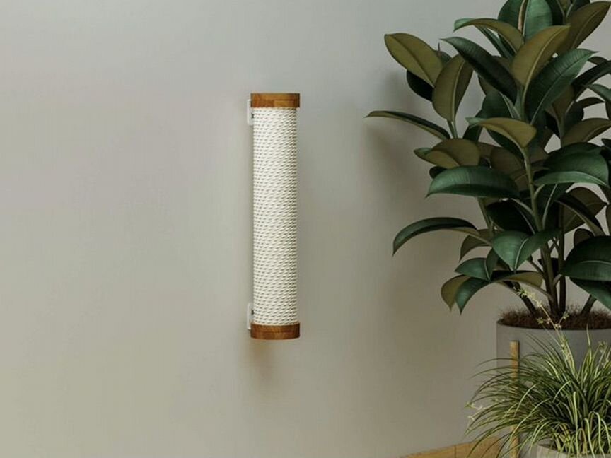 Когтеточка Catsby family