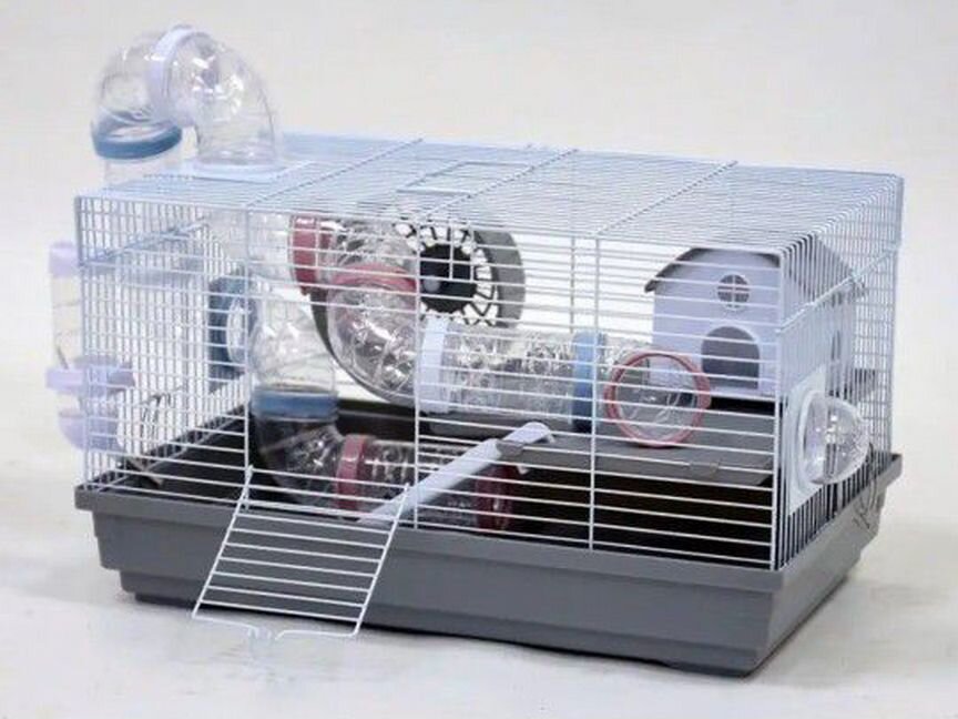 Аксессуары для грызунов